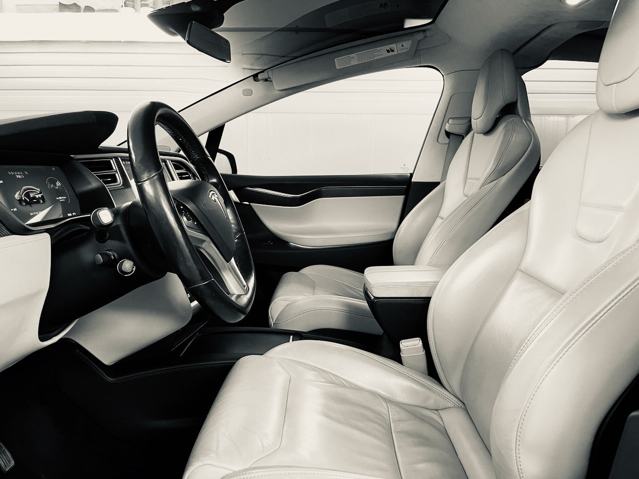 Model X Interior