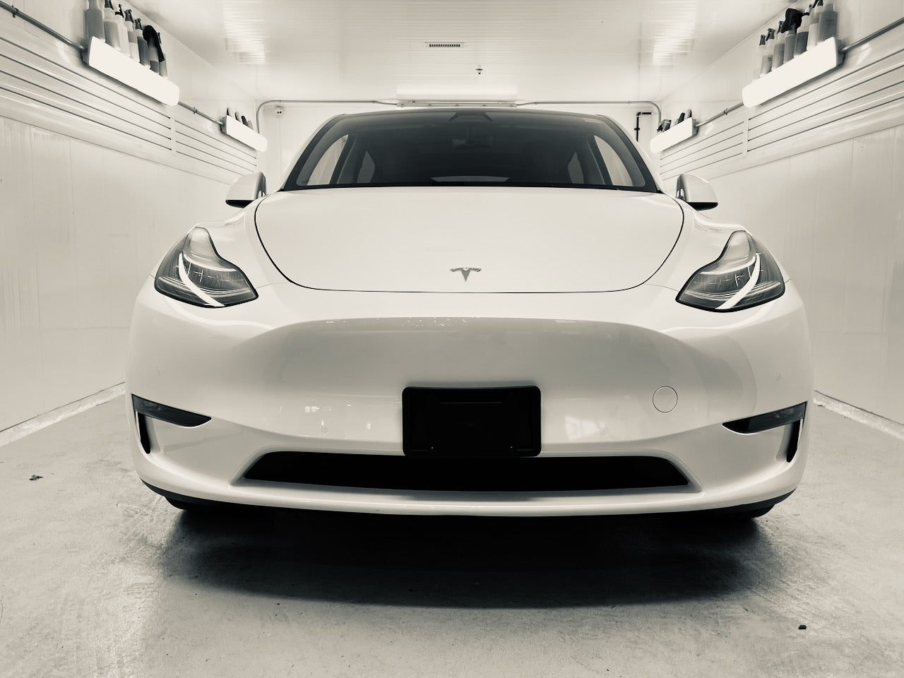 Model Y